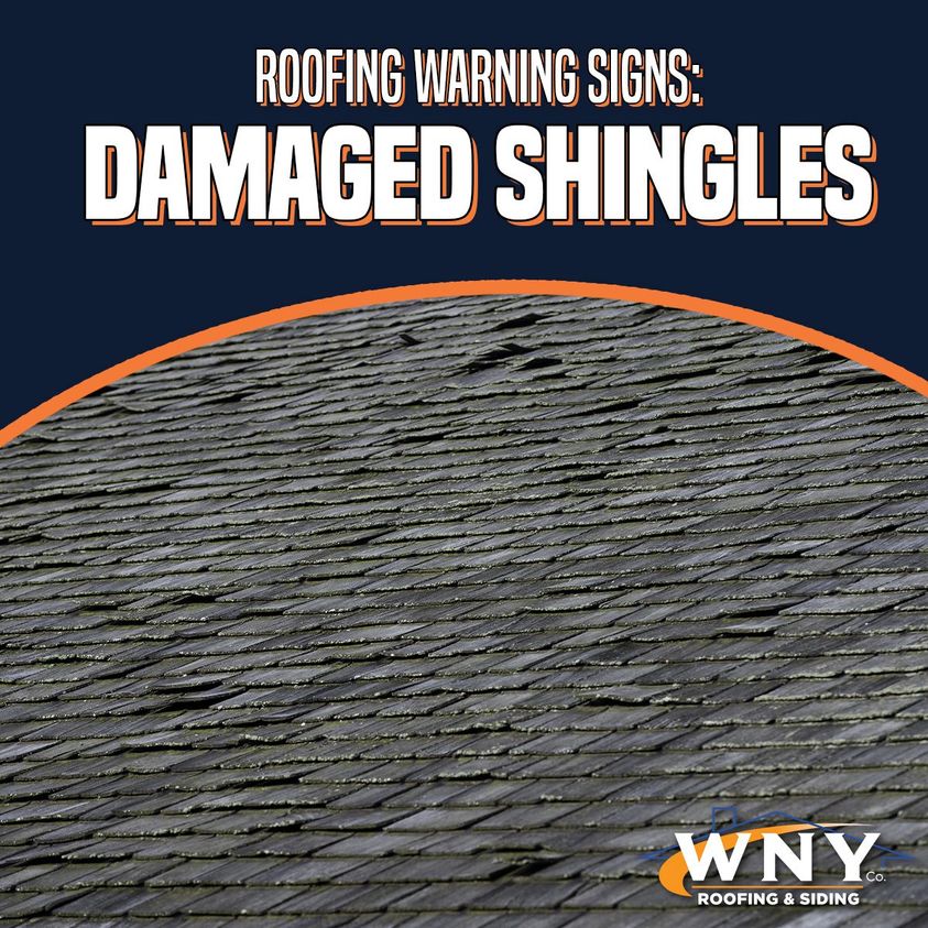 Roofing Warning Signs #5: Damaged Shingles - The WNY Company