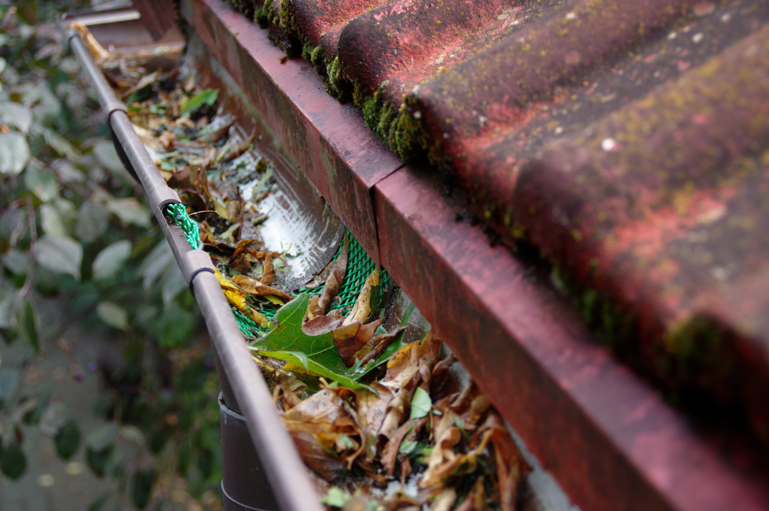 Clean Your Gutters - The WNY Company